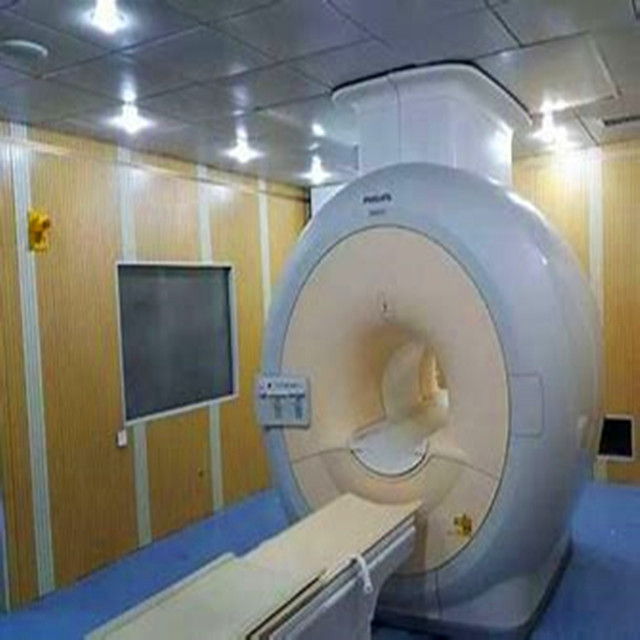 MRI Elektromanyetik Emc Mikrodalga Anekoik Oda Kutusu Güvenlik Tasarımı ...